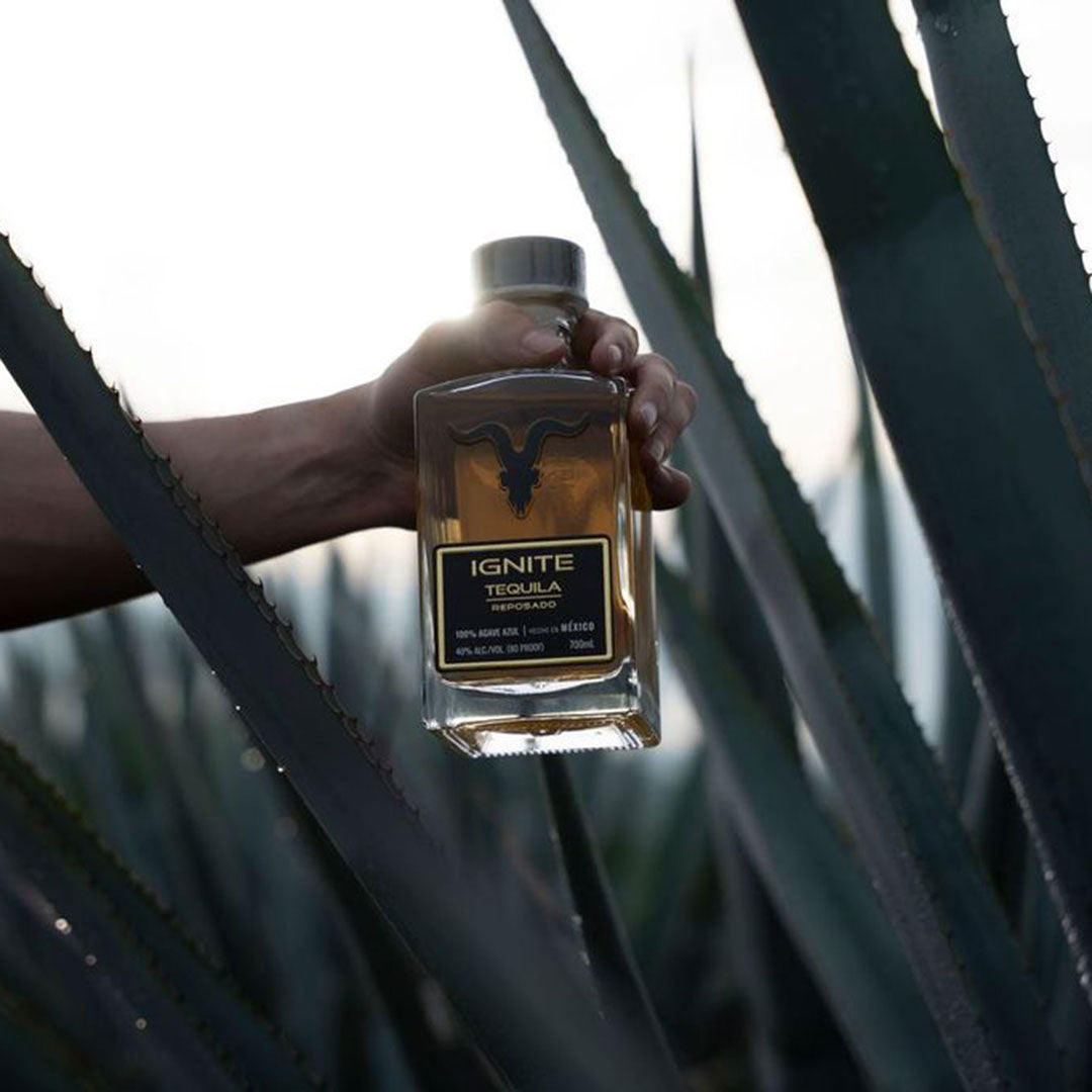 Ignite Tequila Reposado - IGNITE SPIRITS